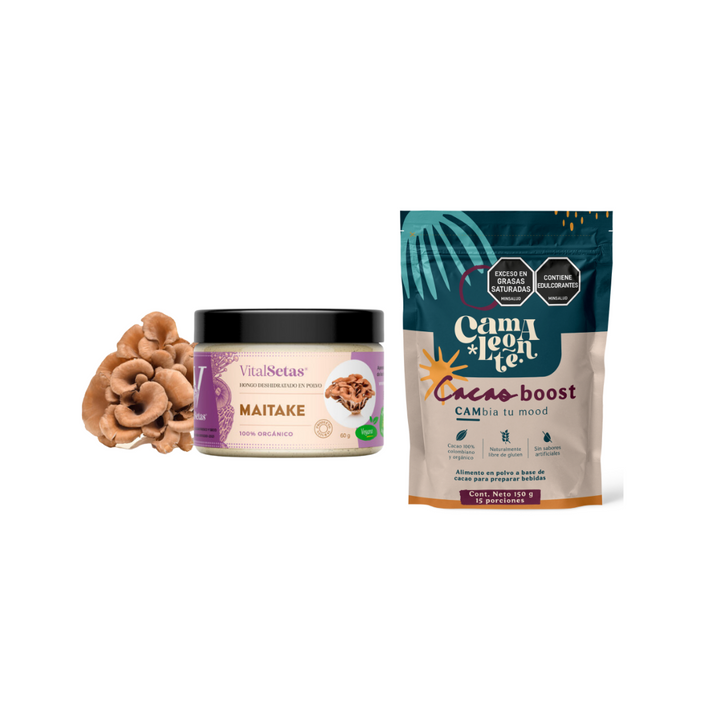 Camaleonte.co – Camaleonte.Co